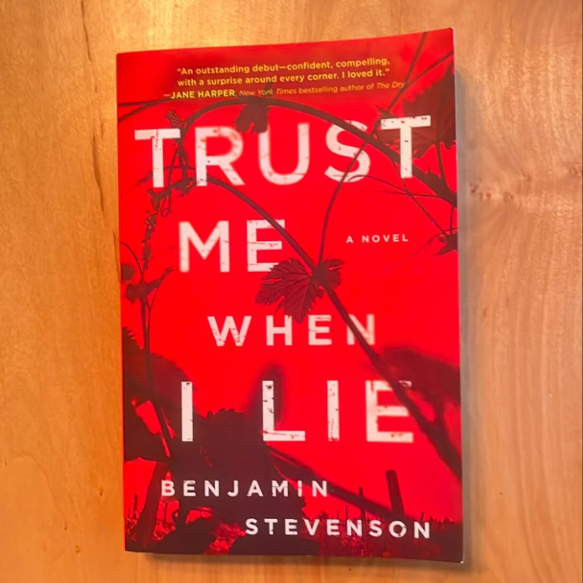 Trust me when I lie by Benjamin Stevenson , Paperback | Pangobooks