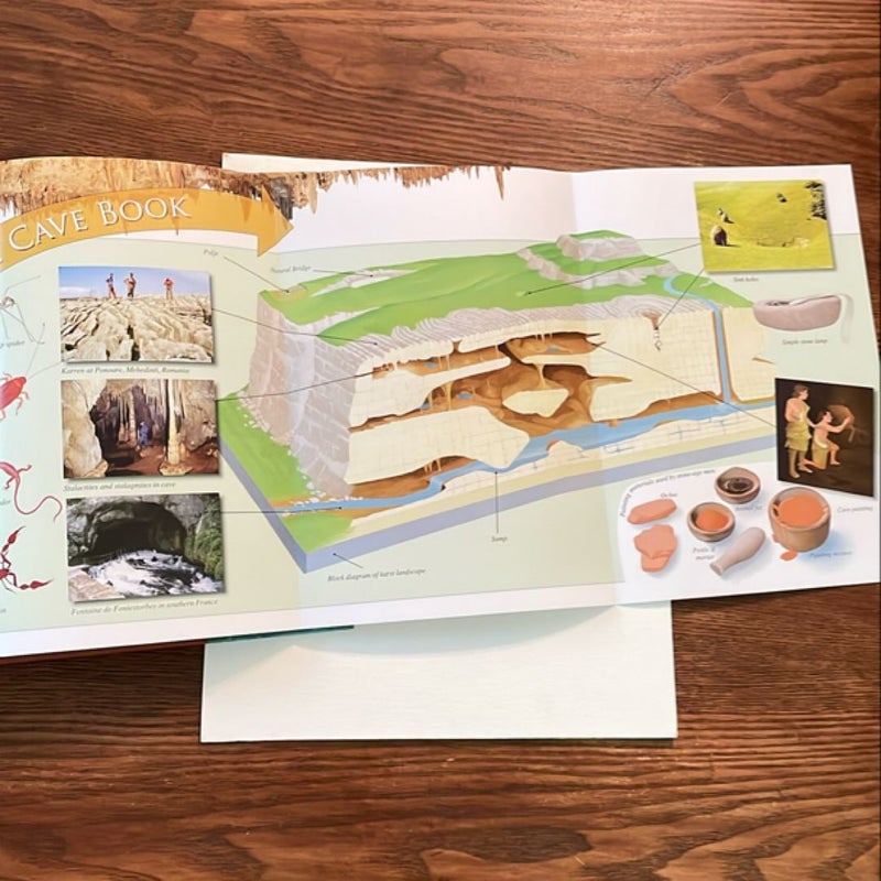 The Cave Book by Emil Silverstru, Hardcover | Pangobooks