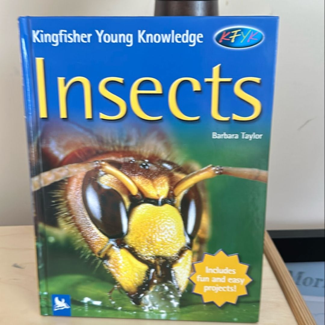 Kingfisher Young Knowledge: Insects by Barbara Taylor