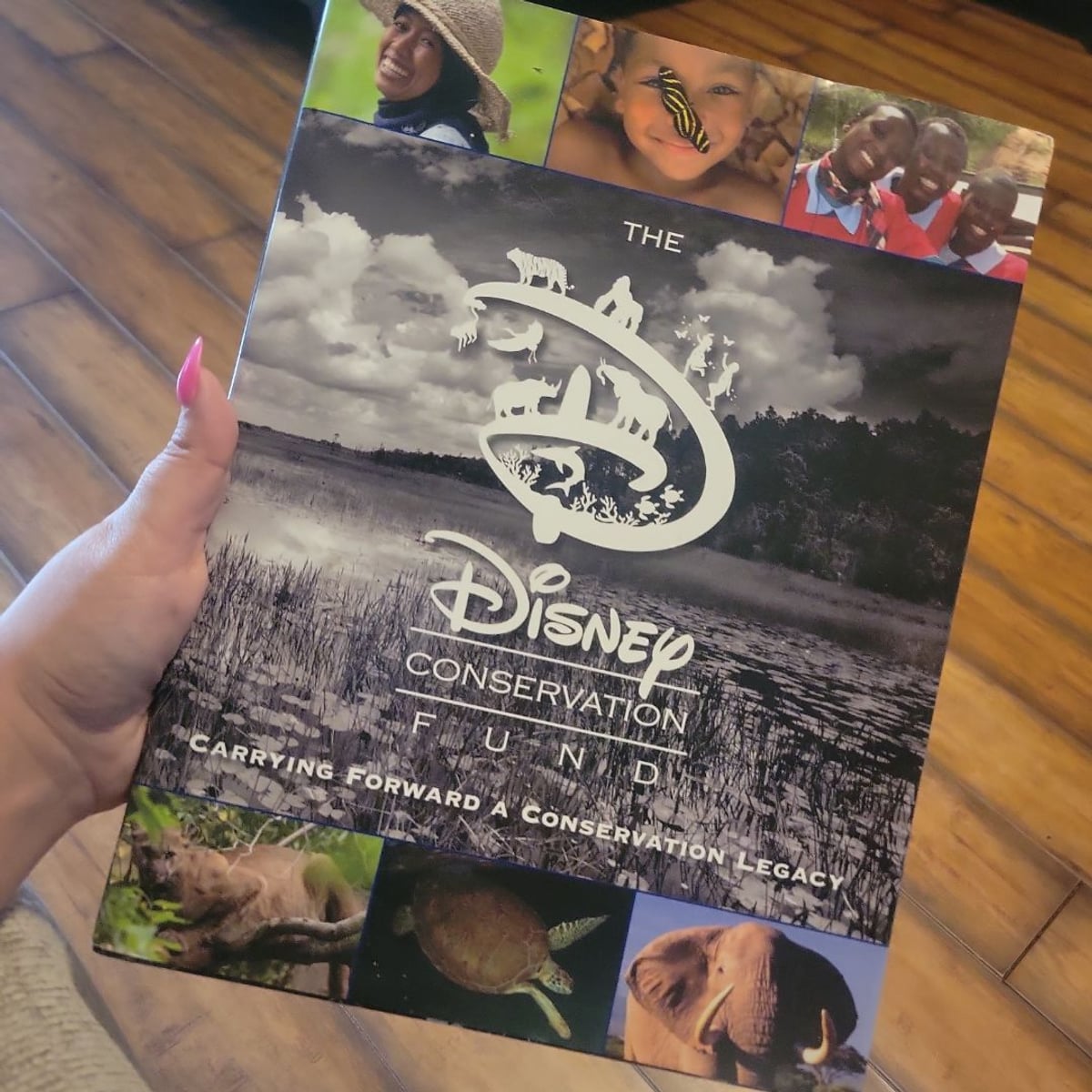 The Disney Conservation Fund (Disney Worldwide Conservation Fund Custom ...