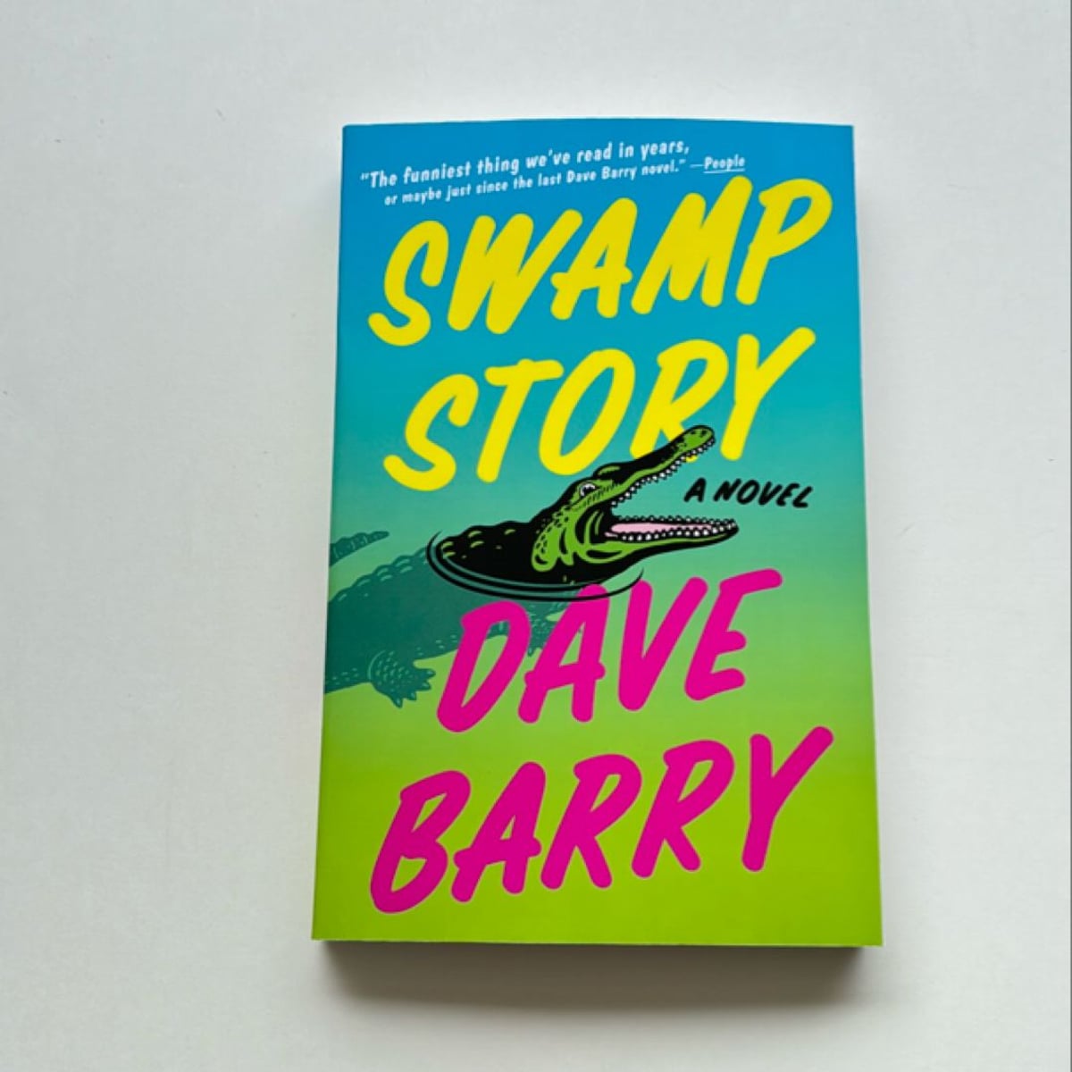 Swamp Story by Dave Barry, Paperback | Pangobooks