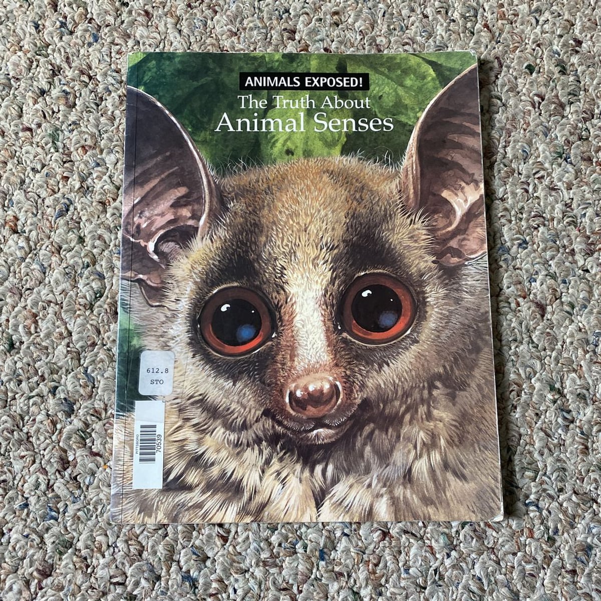 The Truth about Animal Senses