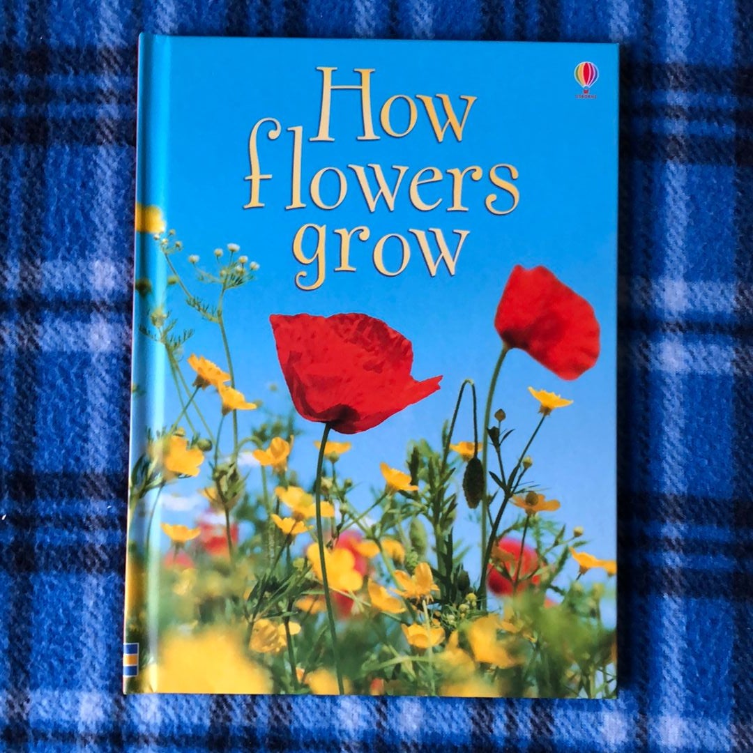 How Flowers Grow by Emma Helbrough, Hardcover | Pangobooks