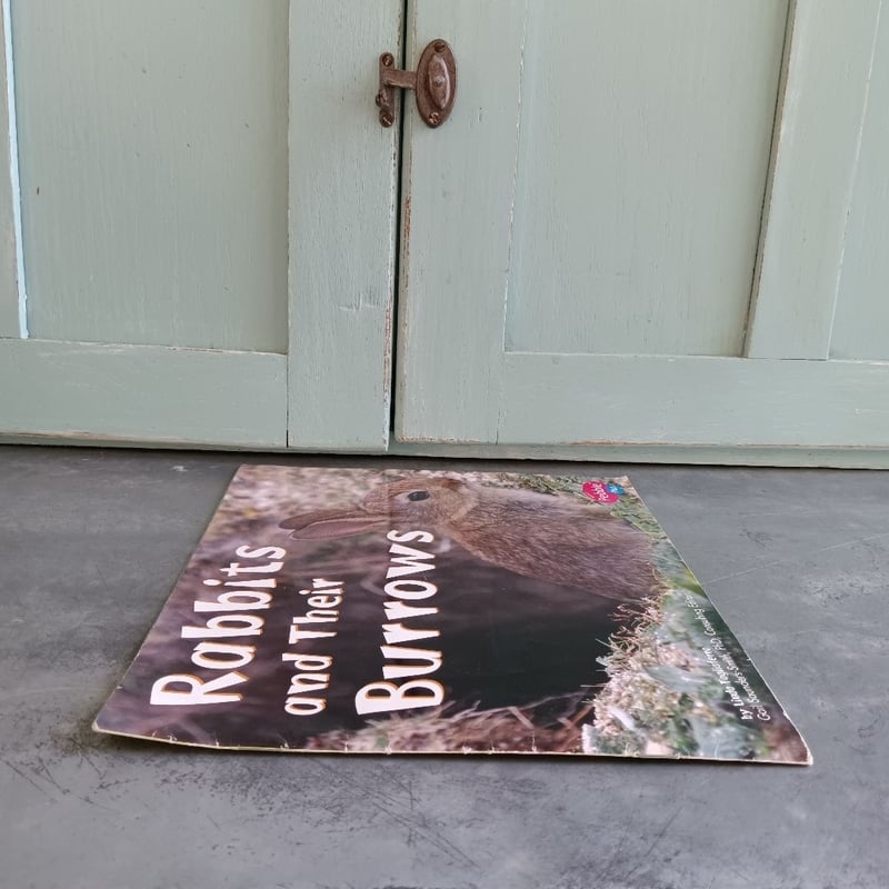Rabbits and Their Burrows [Scholastic] by Linda Tagliaferro
