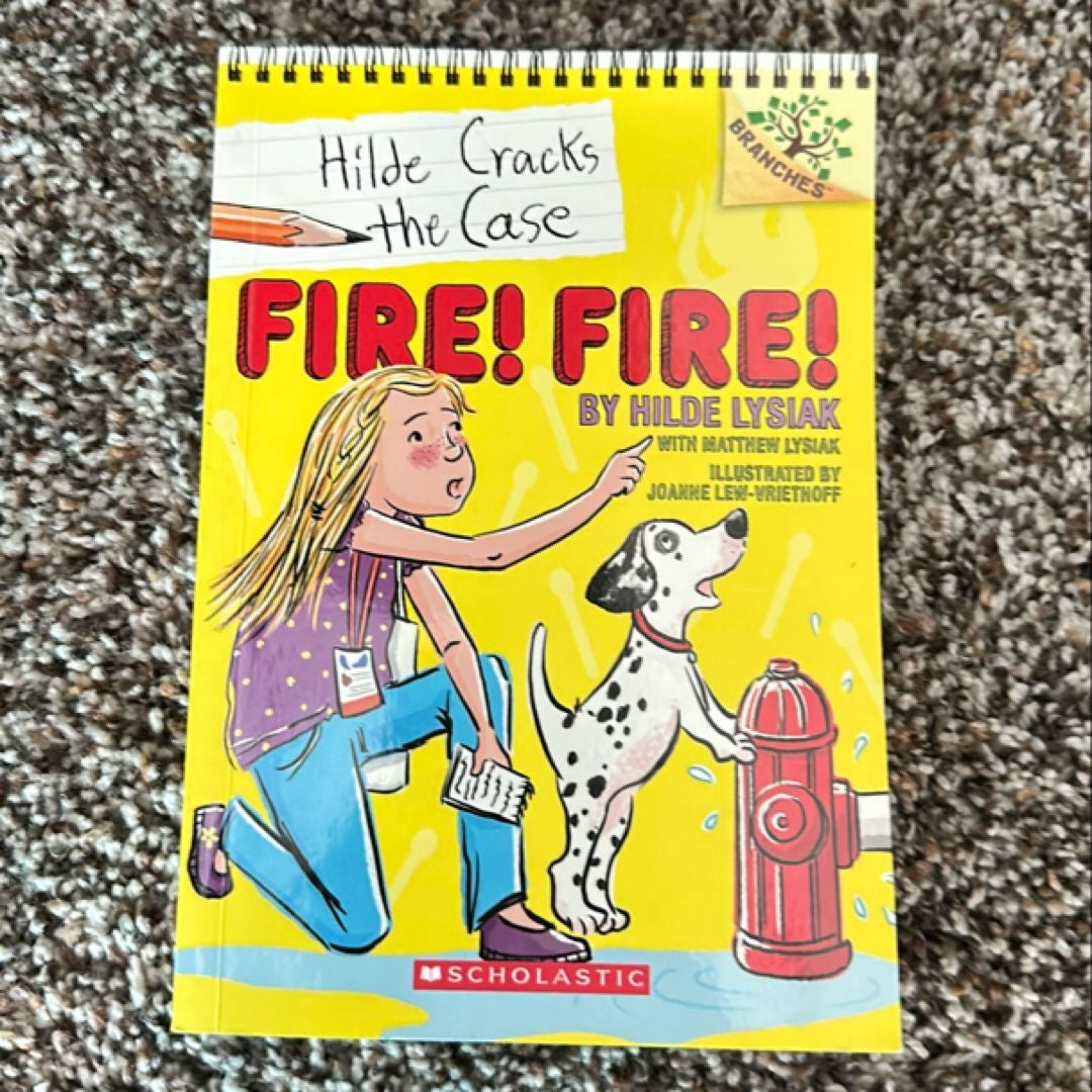 Fire! Fire! by Hilde Lysiak, Matthew Lysiak