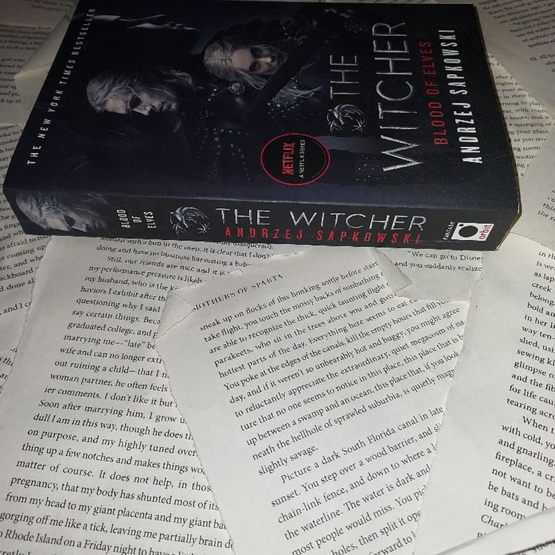 Blood of Elves by Andrzej Sapkowski; Danusia Stok, Paperback | Pangobooks