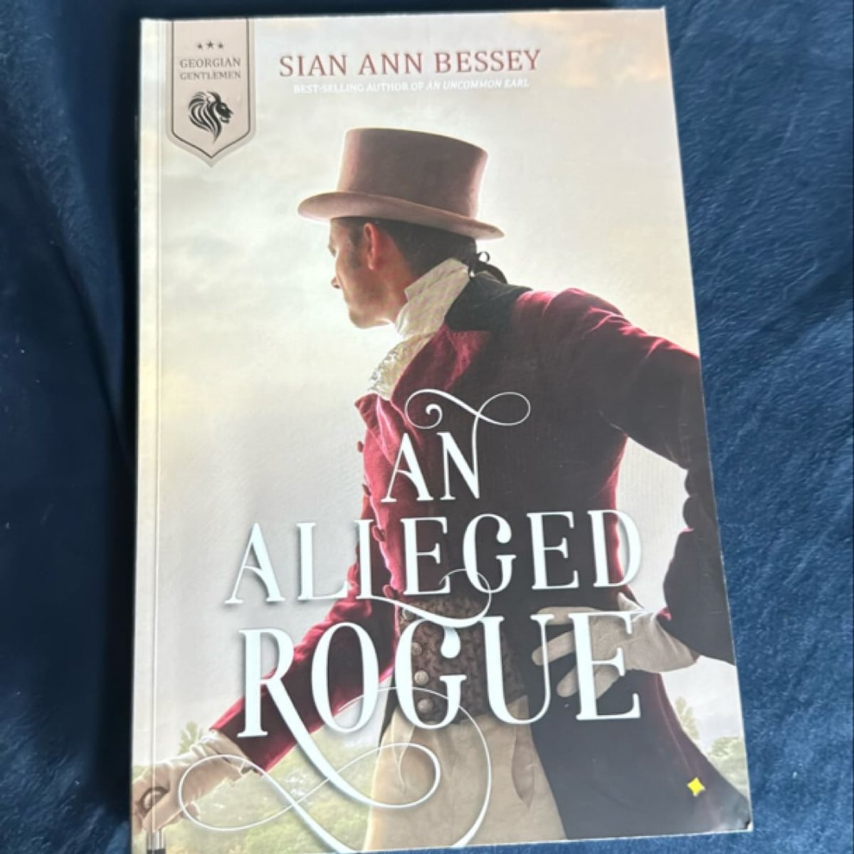 An Alleged Rogue by Siân Ann Bessey