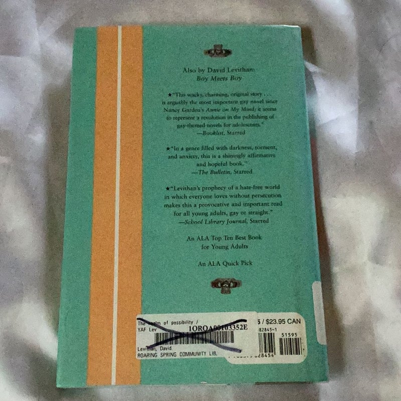 The Realm of Possibility by David Levithan