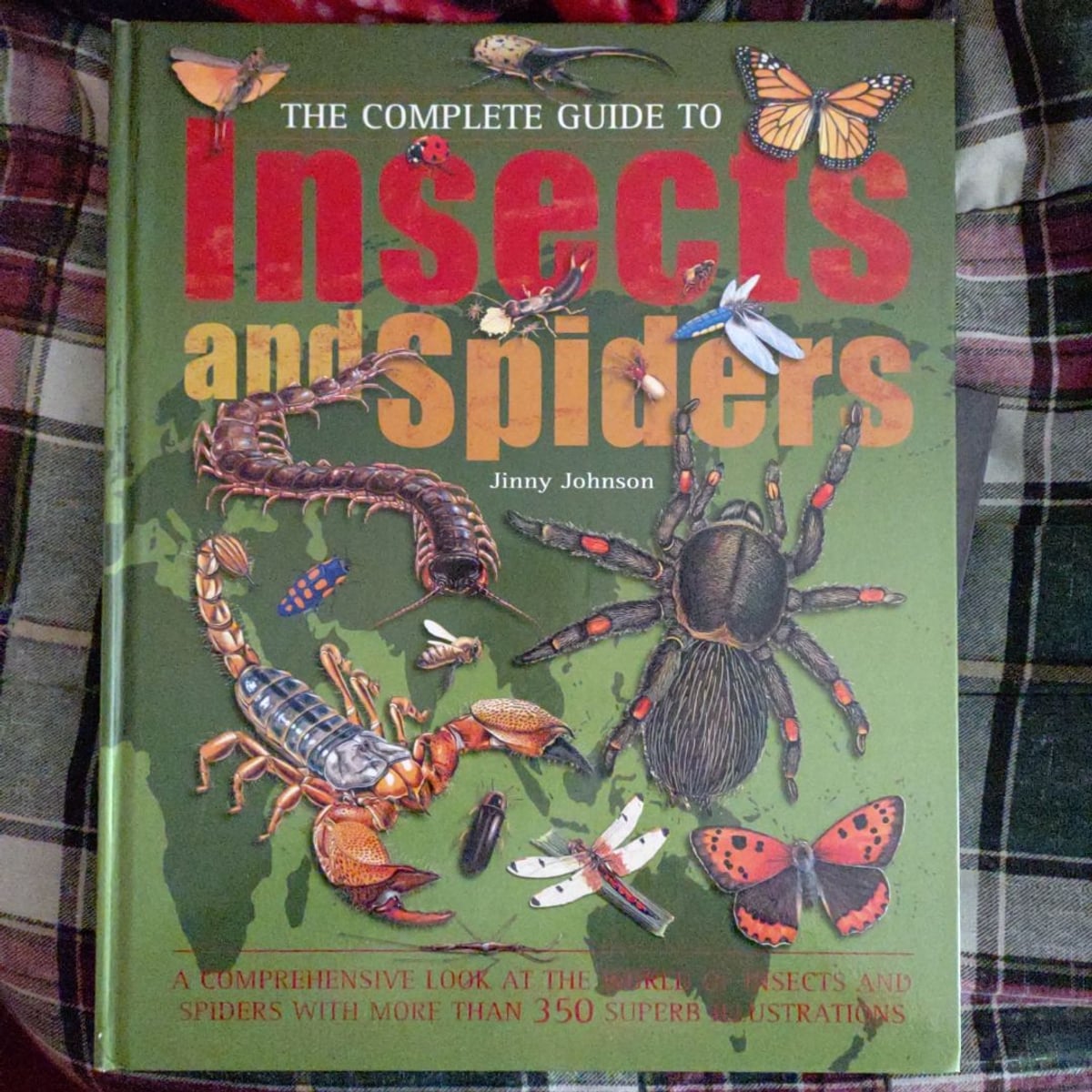 Complete Guide to Insects and Spiders by Jinny Johnson