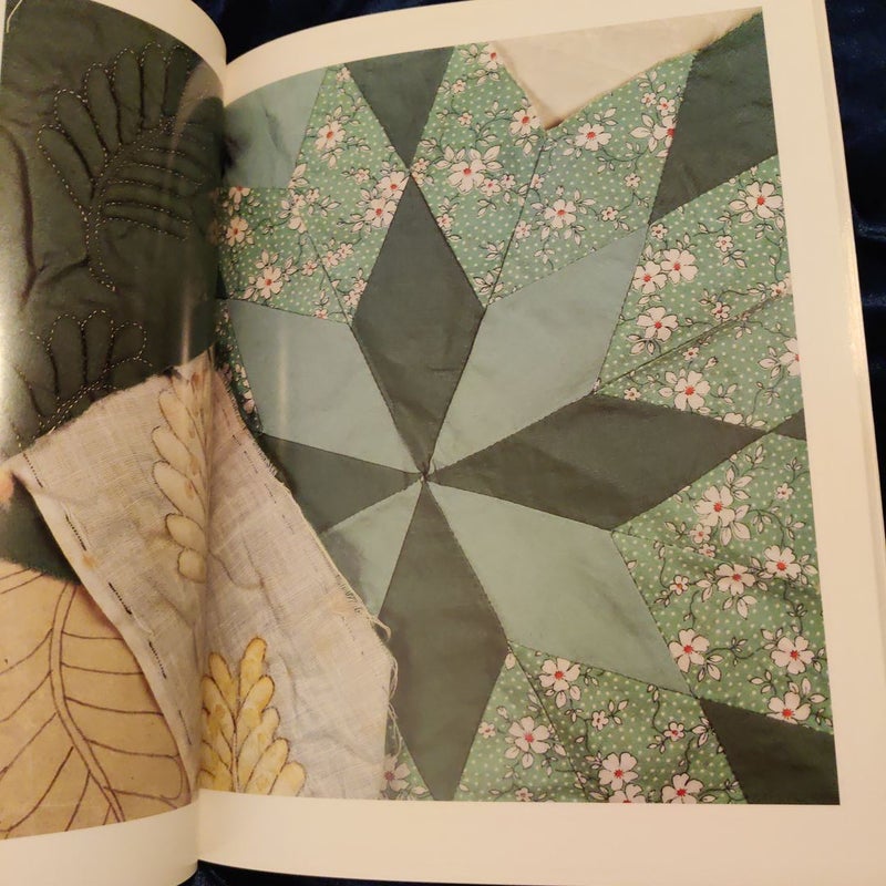 Patchwork Souvenirs of the 1933 World's Fair by Merikay Waldvogel, Paperback | Pangobooks