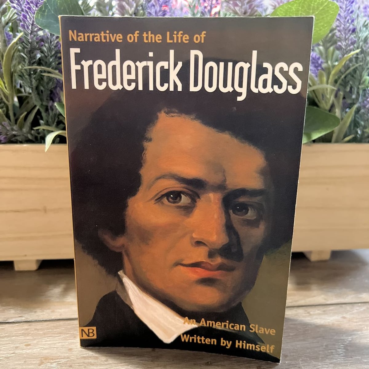 Frederick Douglass Life As A Slave
