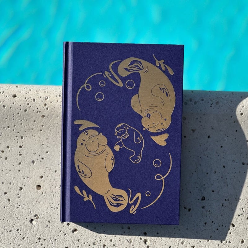 Afterlight Illumicrate SIGNED Special Edition Second Chances at New ...