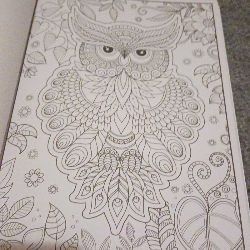 The Art of Coloring by Timeless Creations, Paperback | Pangobooks