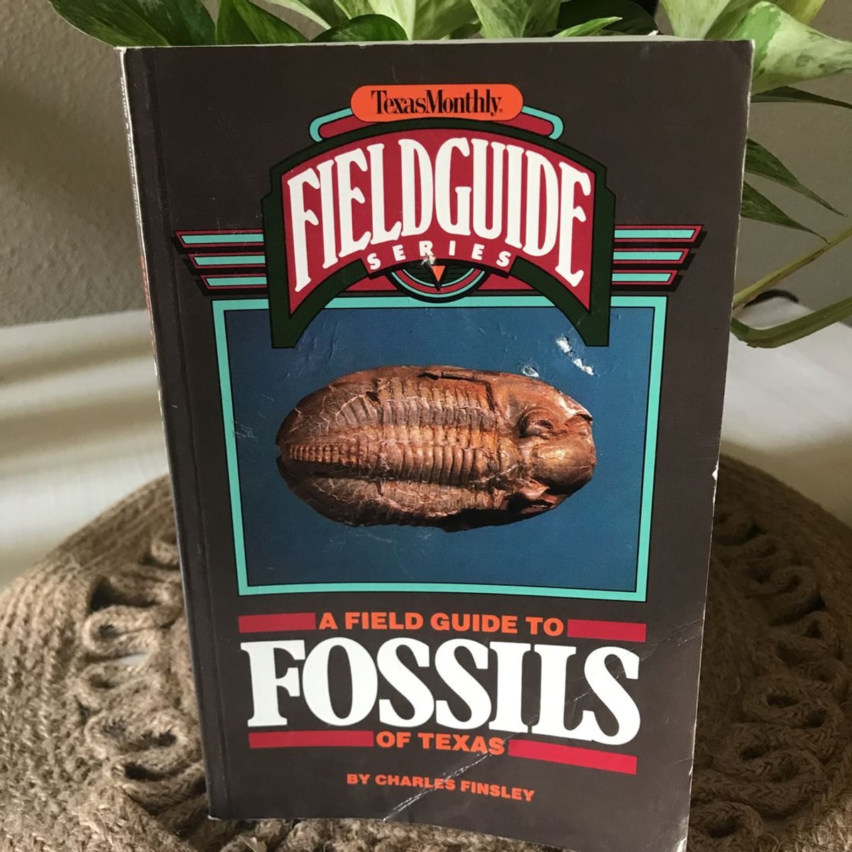 A Field Guide to Fossils of Texas by Charles Finsley