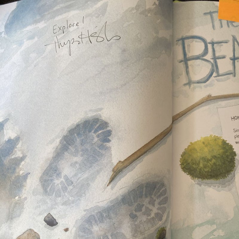 The Bear Report by Thyra Heder, Hardcover | Pangobooks