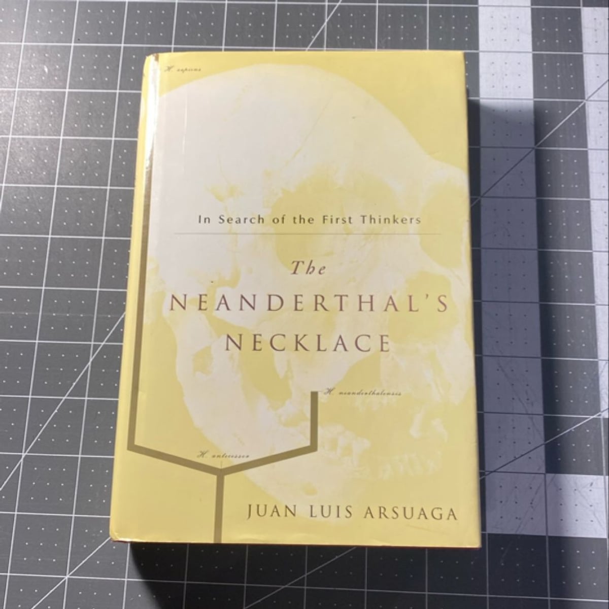The Neanderthal's Necklace by Juan Luis Arsuaga; Andy Klatt (Translator ...