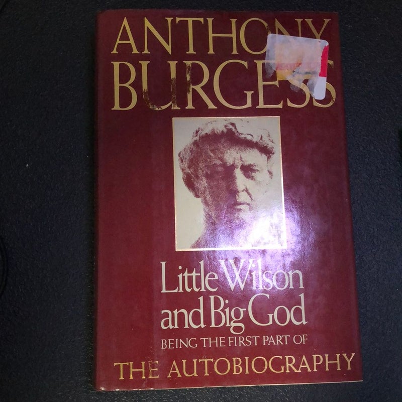 Little Wilson and Big God by Anthony Burgess, Hardcover | Pangobooks