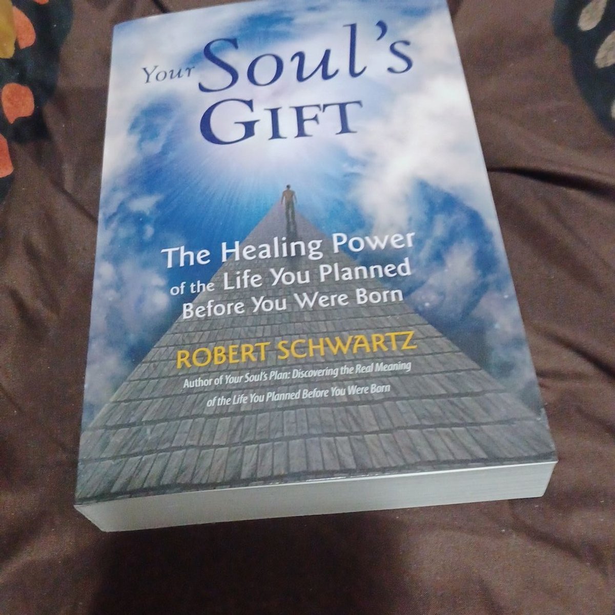 Your Soul's Gift by Robert Schwartz