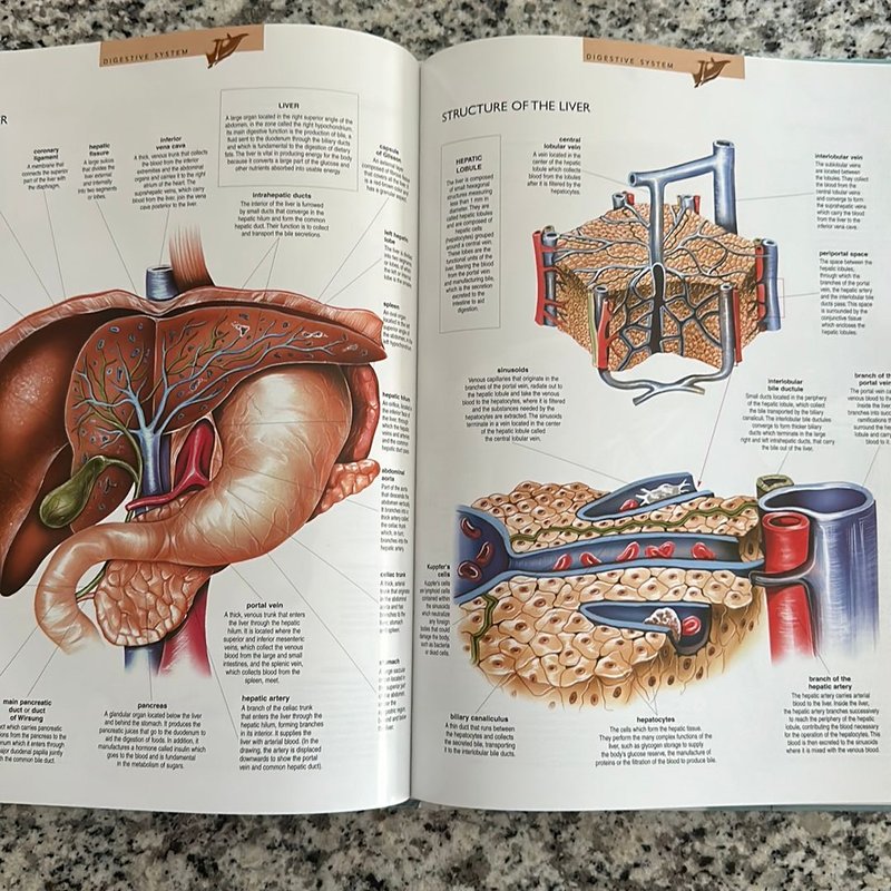 Atlas of the Human Body by Vigue Martin
