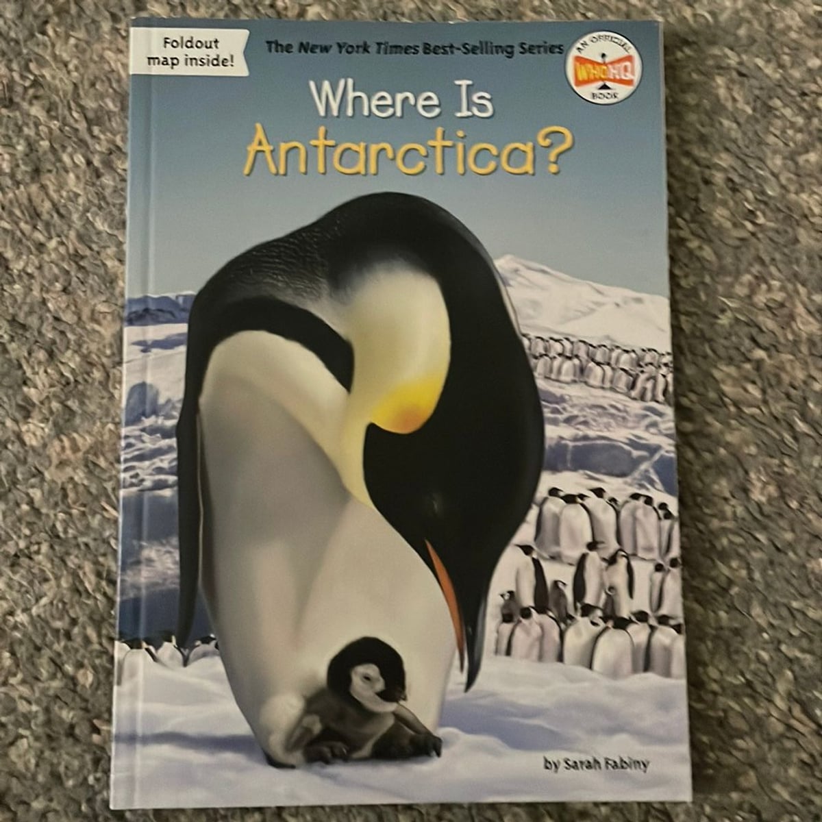 Where Is Antarctica? by Sarah Fabiny, Who HQ