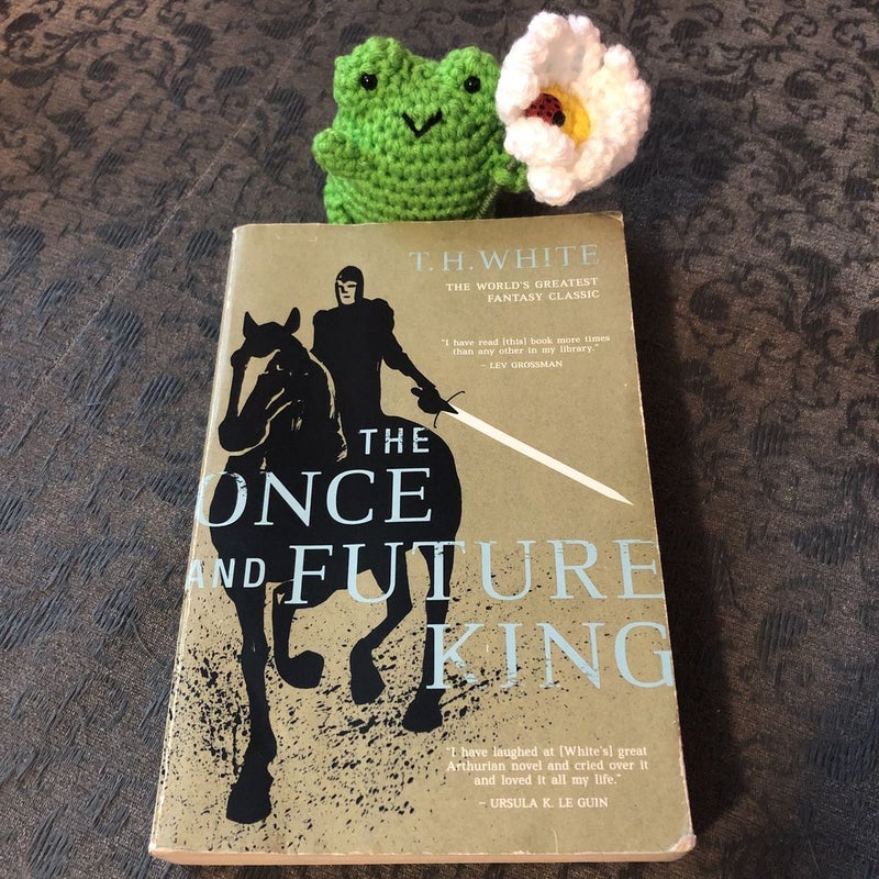 The Once and Future King by T. H. White, Paperback | Pangobooks