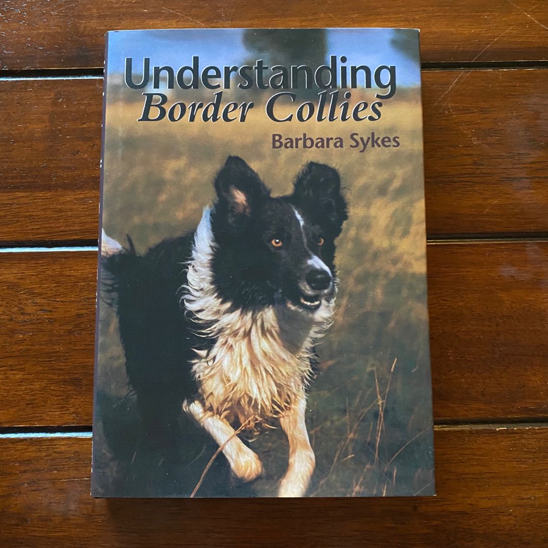 Understanding Border Collies by Barbara Sykes, Hardcover | Pangobooks