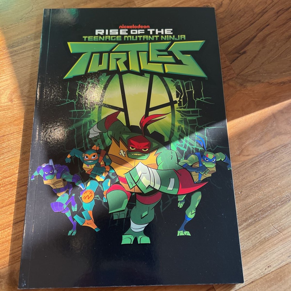 Rise of the Teenage Mutant Ninja Turtles by Matthew K. Manning