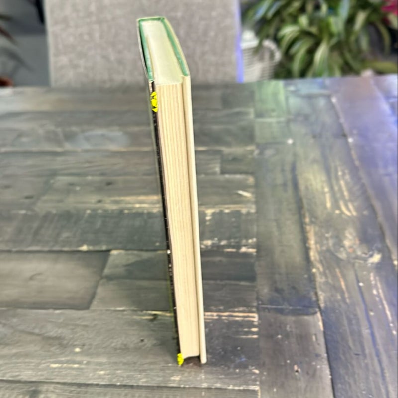 The Bones Wizard by Alan Ryan