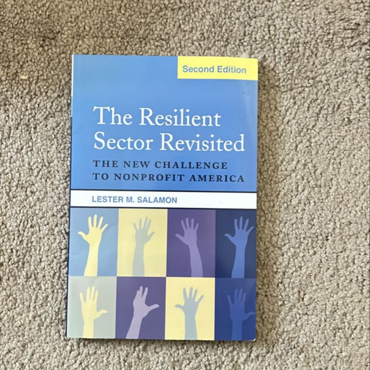 The Resilient Sector Revisited by Lester M. Salamon