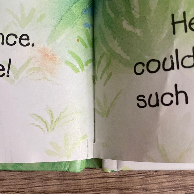 The Parable of the Lily by Liz Curtis Higgs