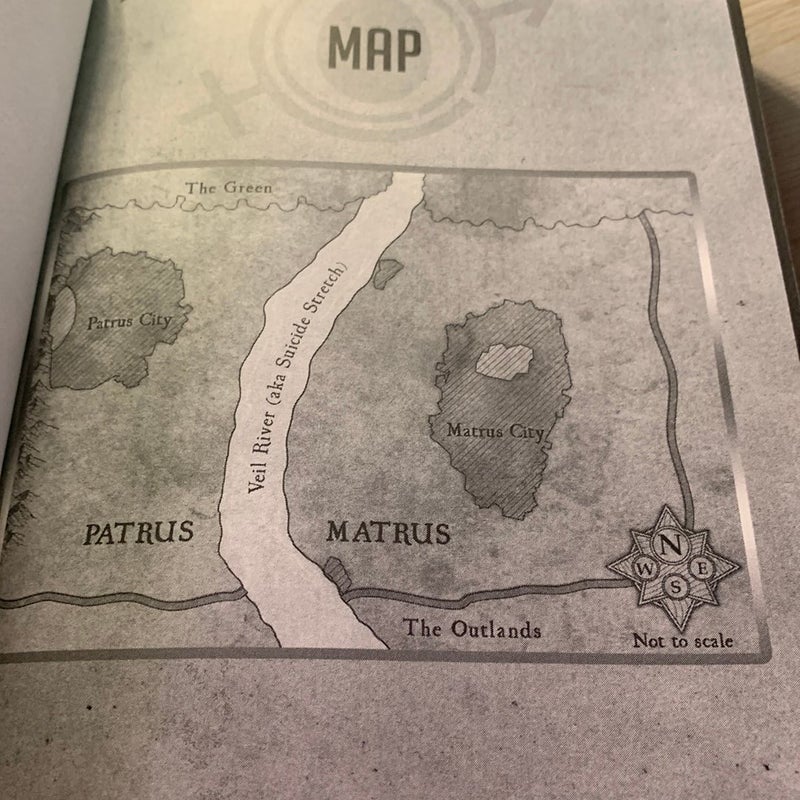 The Gender Game by Bella Forrest