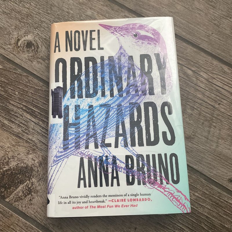 Ordinary Hazards by Anna Bruno, Hardcover | Pangobooks