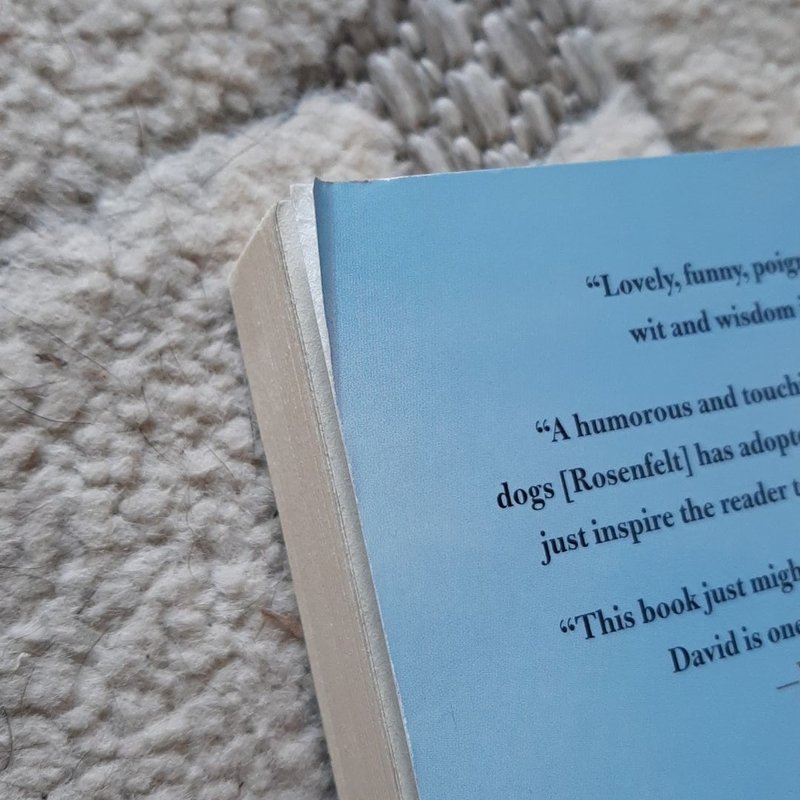 Lessons from Tara by David Rosenfelt