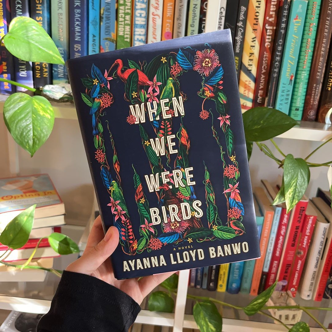 When We Were Birds by Ayanna Gillian Lloyd, Hardcover | Pangobooks