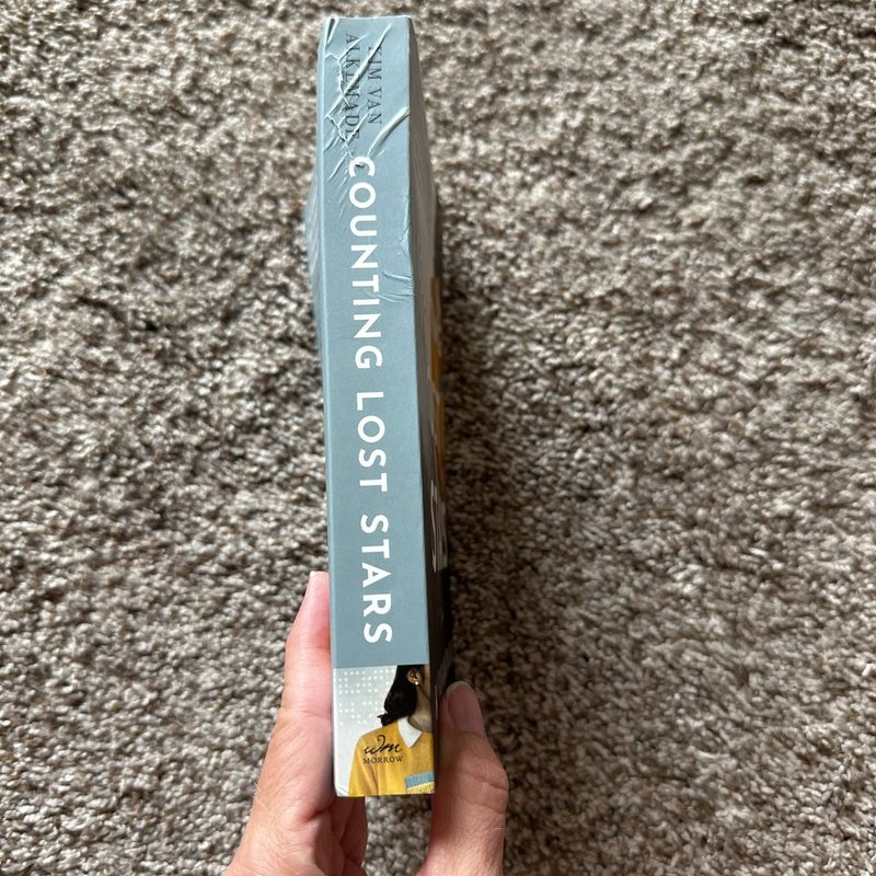 Counting Lost Stars by Kim van Alkemade