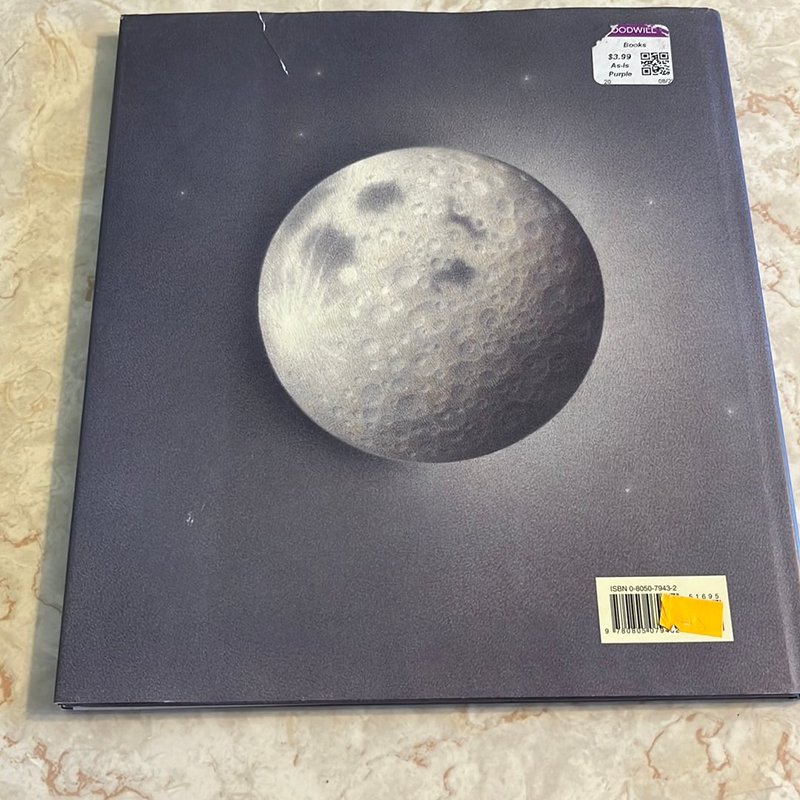 Moon Plane by Peter McCarty