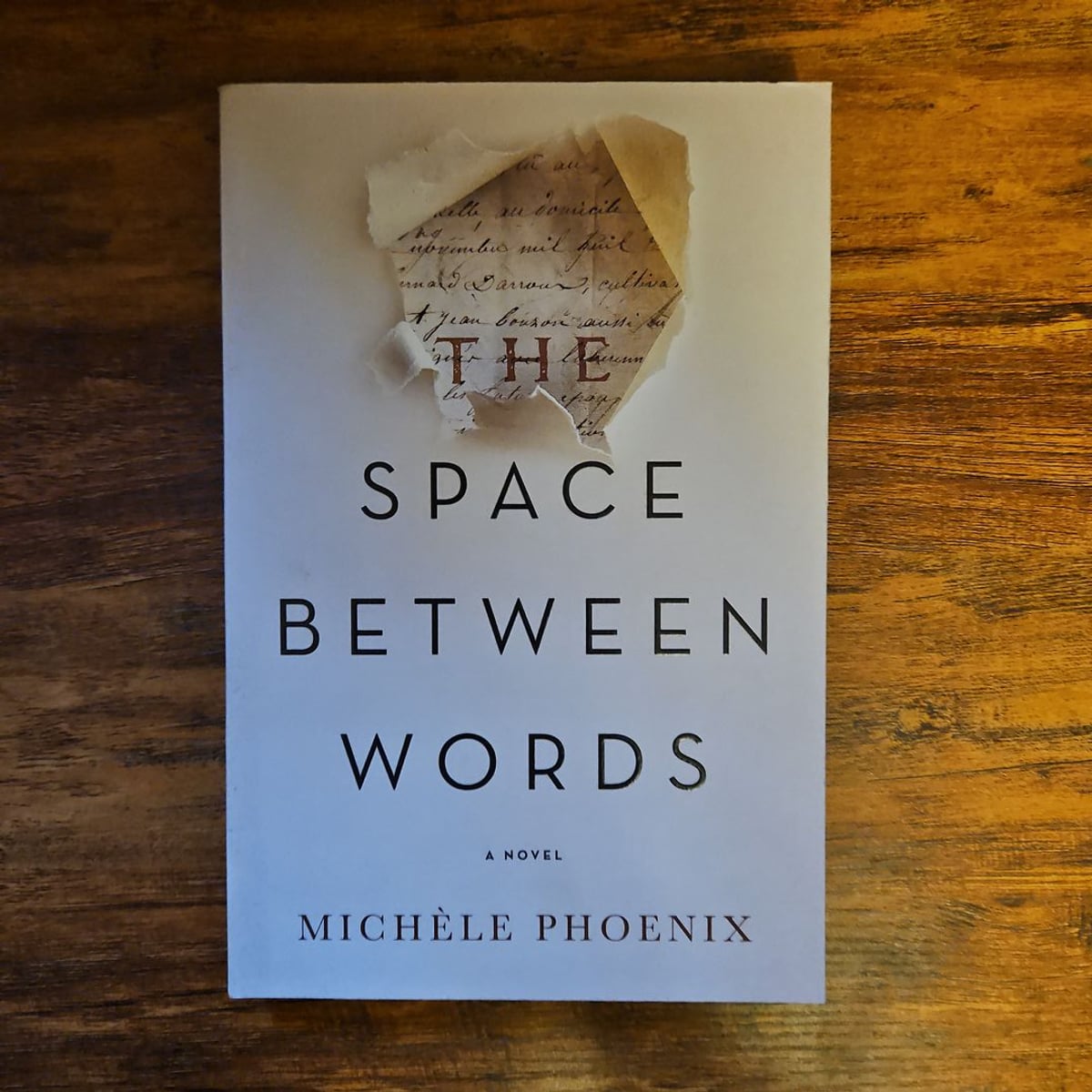 The Space Between Words by Michéle Phoenix