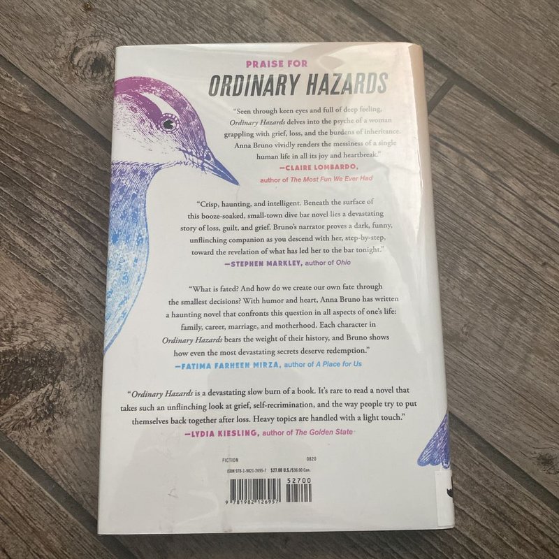 Ordinary Hazards by Anna Bruno