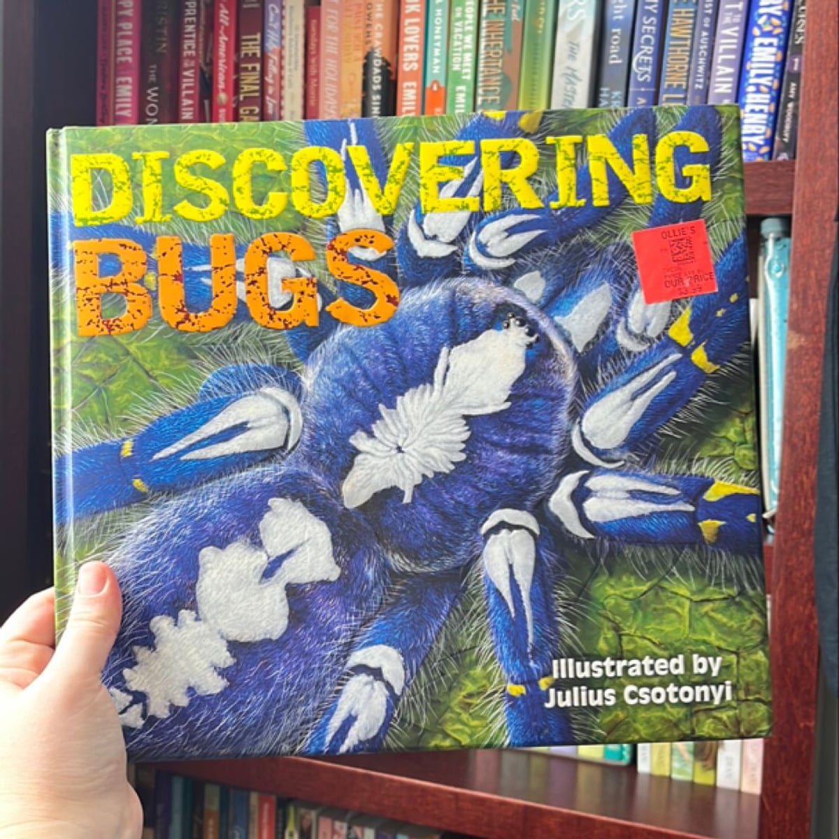 Discovering Bugs by Julius Csotonyl