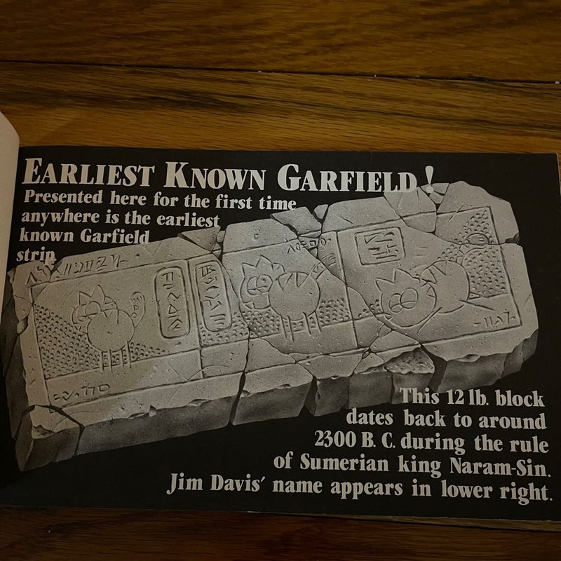 Garfield Out to Lunch by Jim Davis