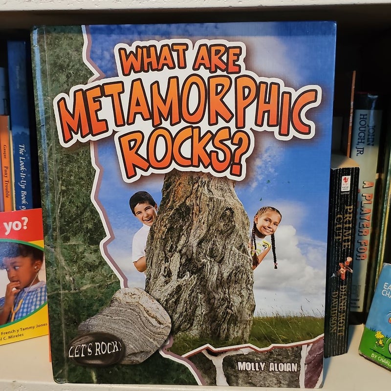 What Are Metamorphic Rocks? by Molly Aloian