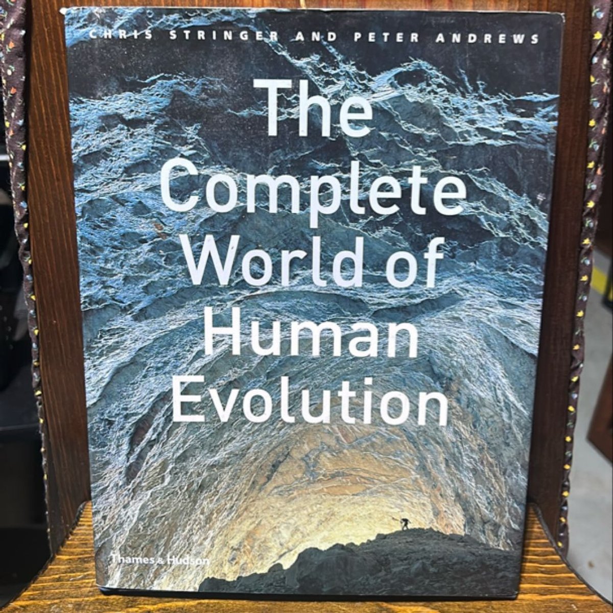 Complete World of Human Evolution by Chris Stringer, Peter Andrews
