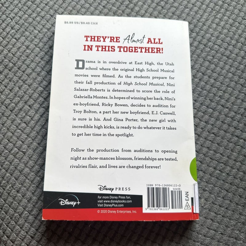 HSMTMTS: Novelization, Season 1 by Disney Books