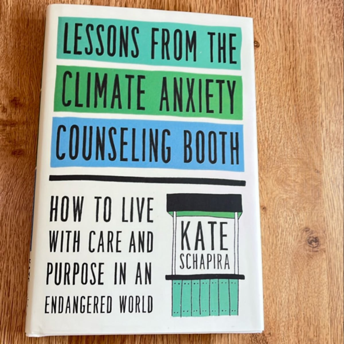 Lessons from the Climate Anxiety Counseling Booth by Kate Schapira