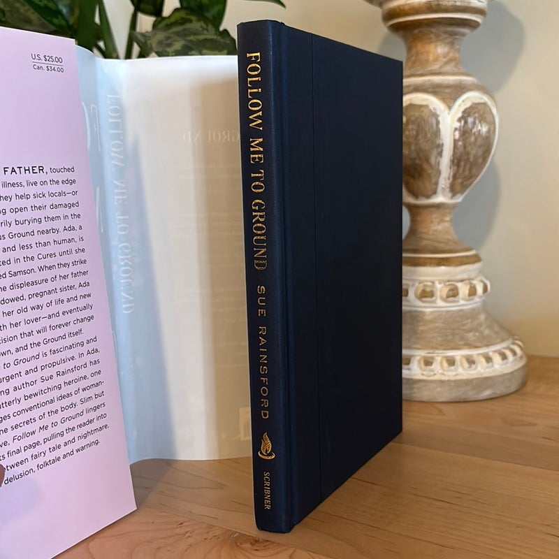 Follow Me to Ground by Sue Rainsford