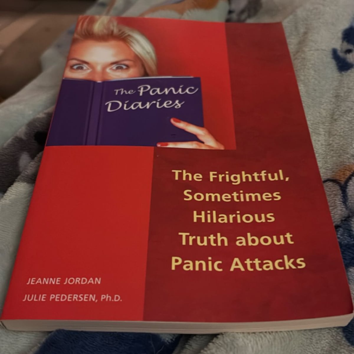 The Panic Diaries by Jeanne Jordan, Julie Pedersen