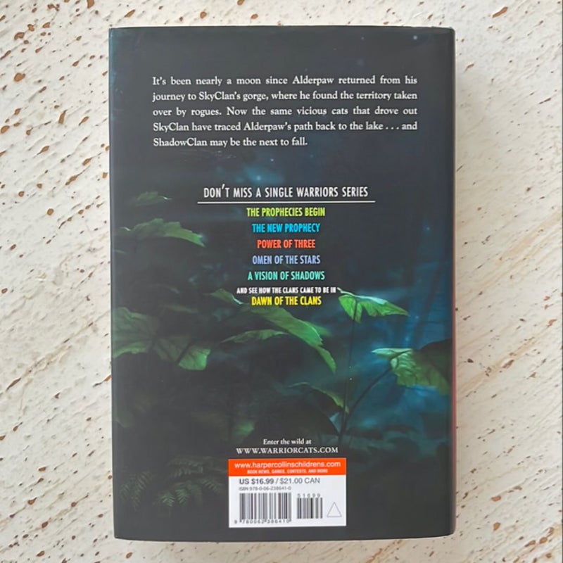 Warriors: a Vision of Shadows #2: Thunder and Shadow by Erin Hunter