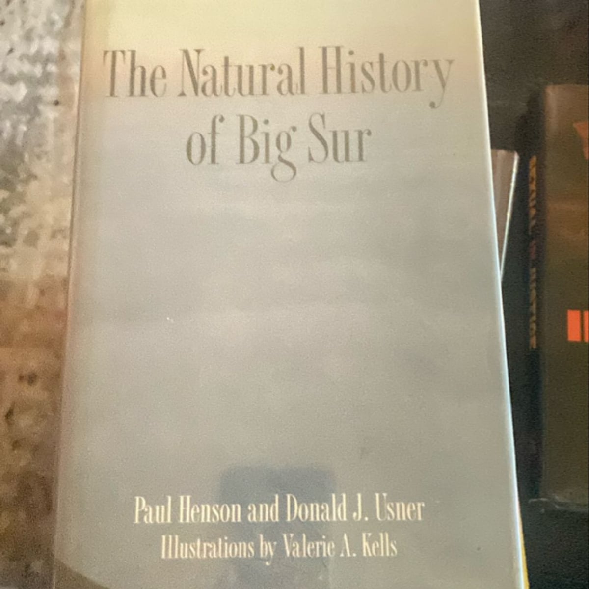 The Natural History of Big Sur by Paul Henson, Donald J. Usner