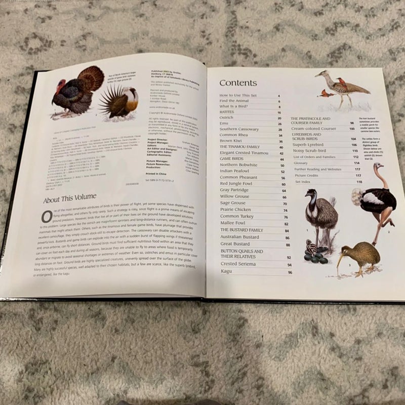 Animal Fact Files Birds by David Chandler