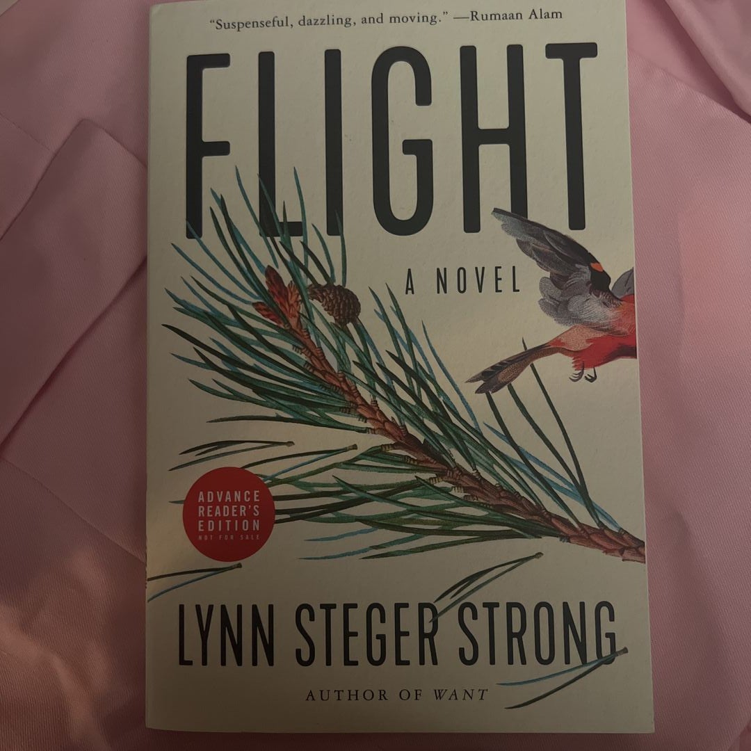 Flight by Lynn Steger Strong